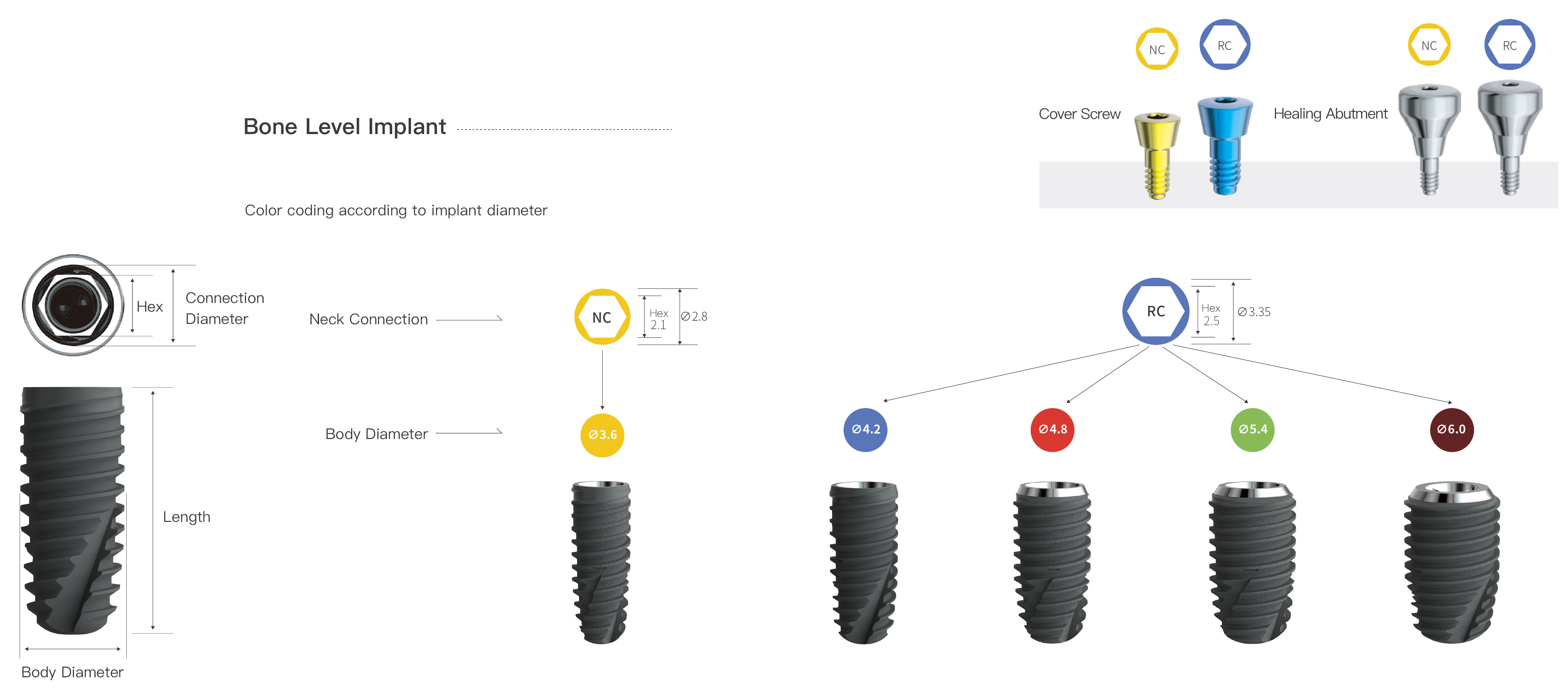 Regular Specifications & Models